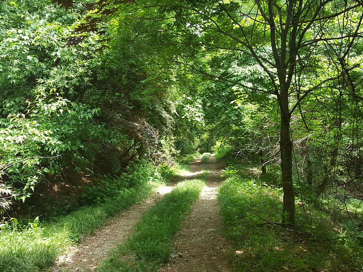 야외활동 시즌! '살인진드기' 공포? SFTS·쯔쯔가무시 완벽 예방 가이드